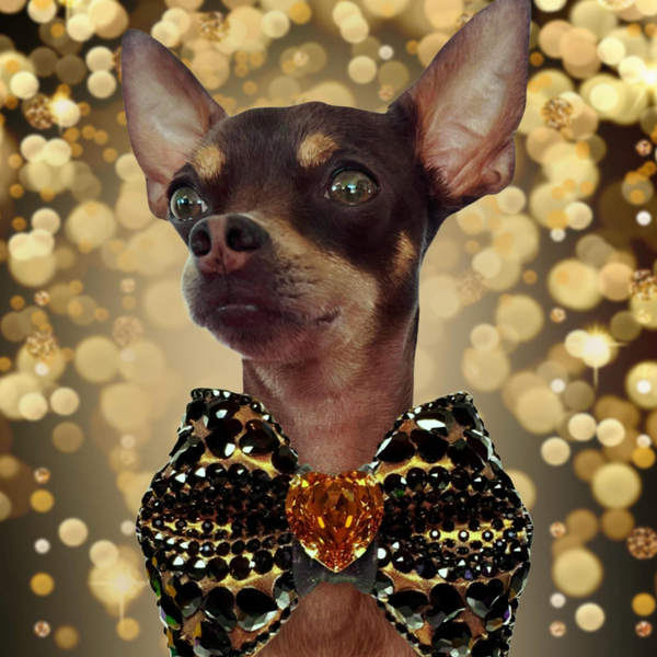 Prince Jordan Valentino and the Quest for the Golden Sparkles ...