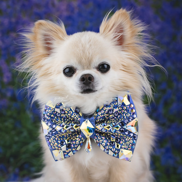 Bluebells VIP Gizmo Bow, Medium - Furdrobe Ltd