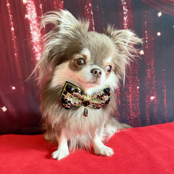 Hollywood VIP Gizmo Bow, Petite - Furdrobe Ltd
