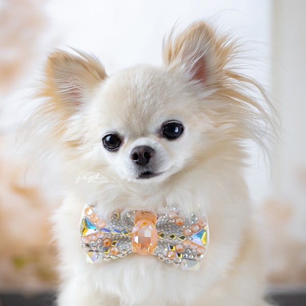 Peaches & Pearls VIP Gizmo Bow, Petite - Furdrobe Ltd